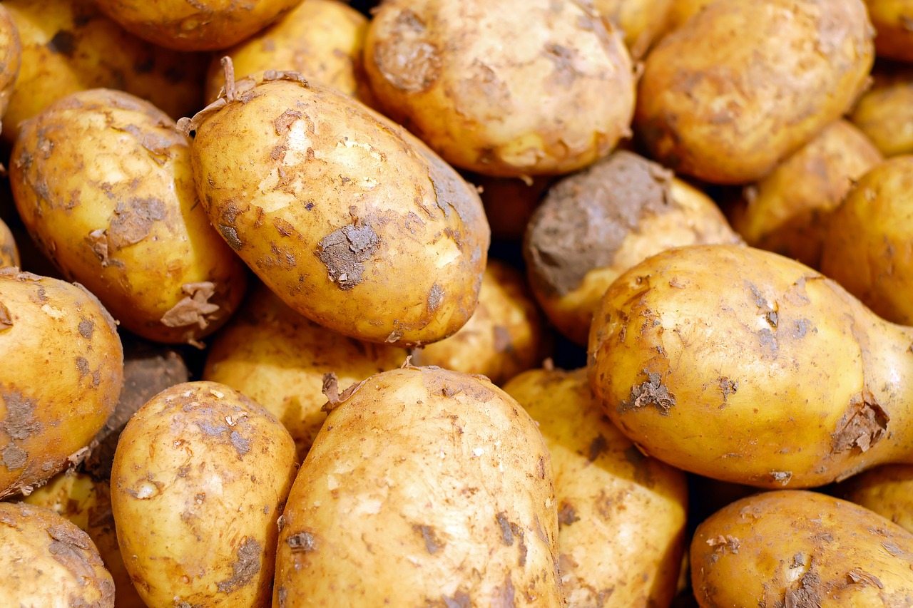 Clarebout Potatoes - Toujours pas de communication officielle ! - Ecolo ...
